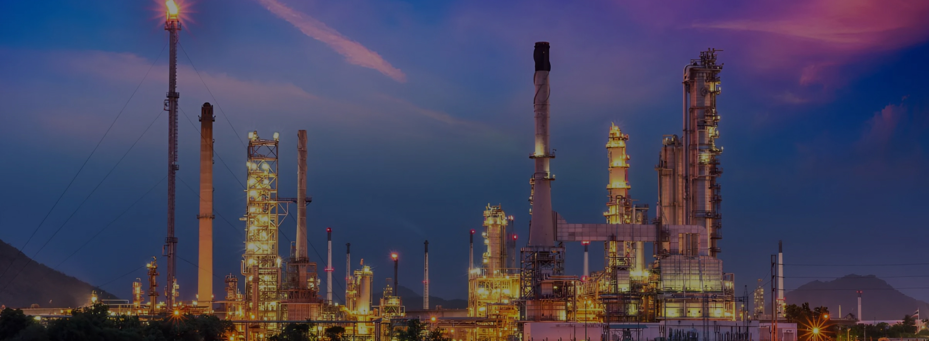 Stech International Limited